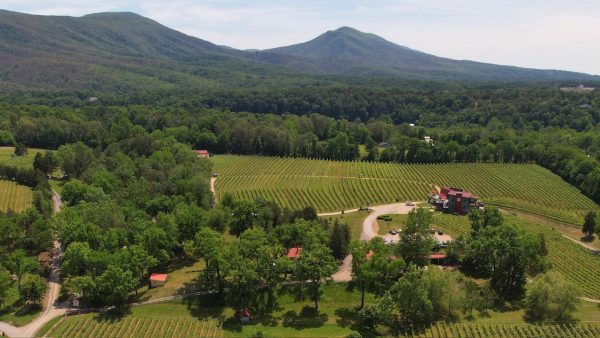 Home [musevineyards.com]